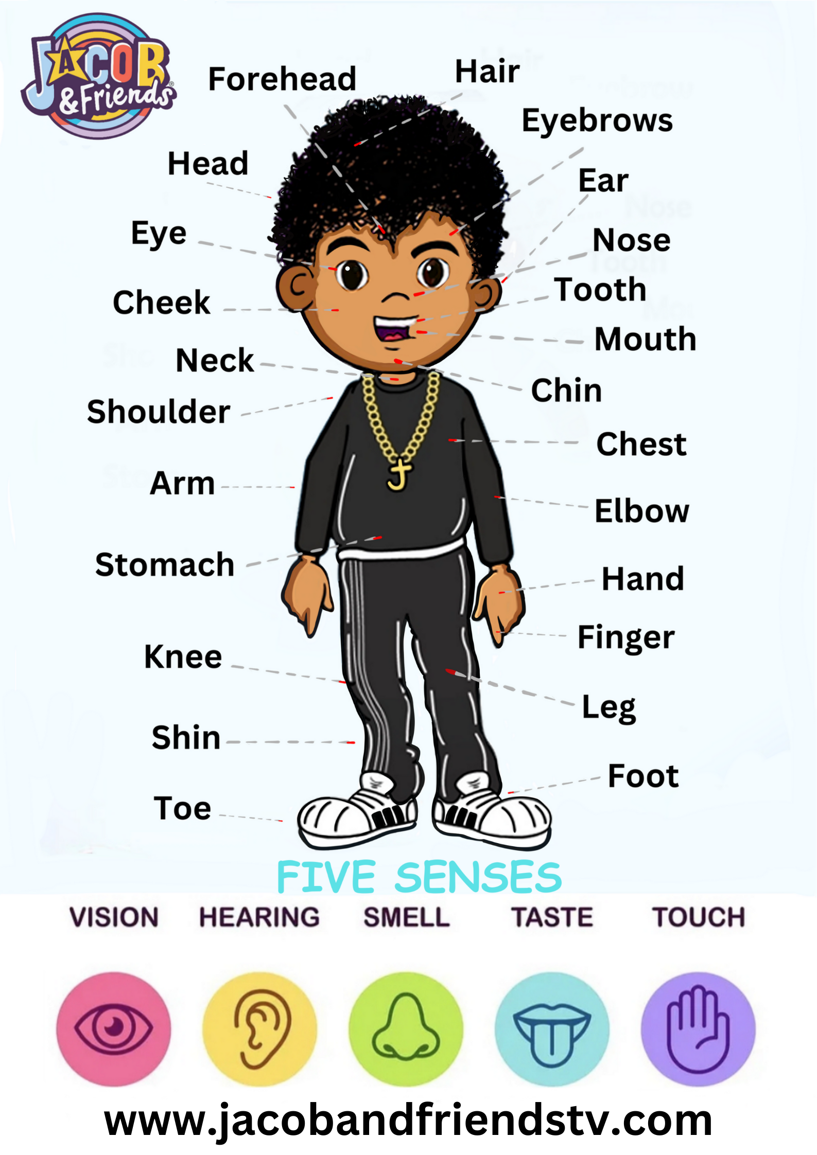 Five Senses Poster – Jacob & Friends